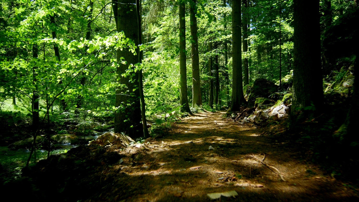 General – KAOLIN SURFACES