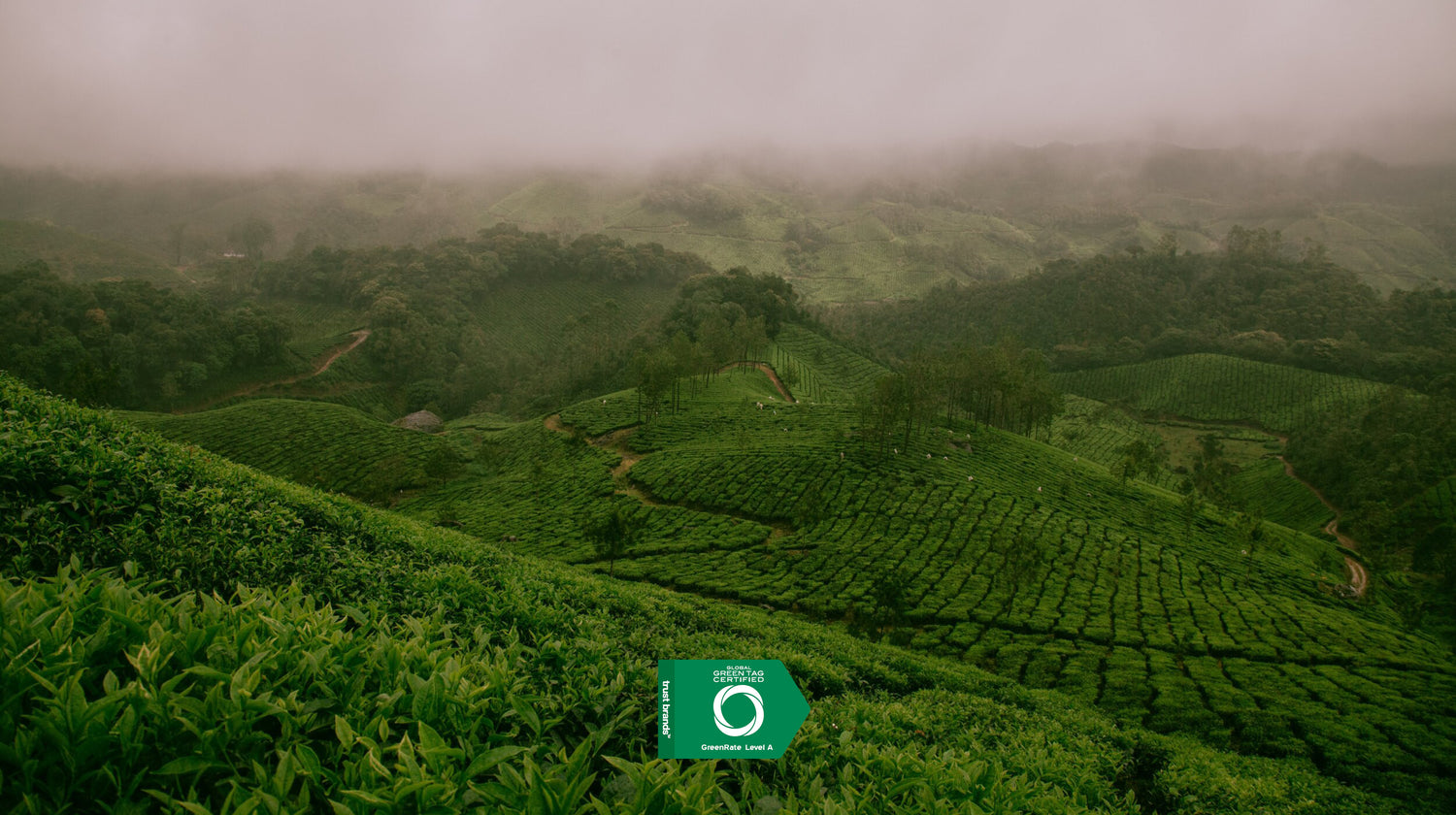 Kaolin Surfaces - Porcelain Floor Tile Manufacturers Sydney